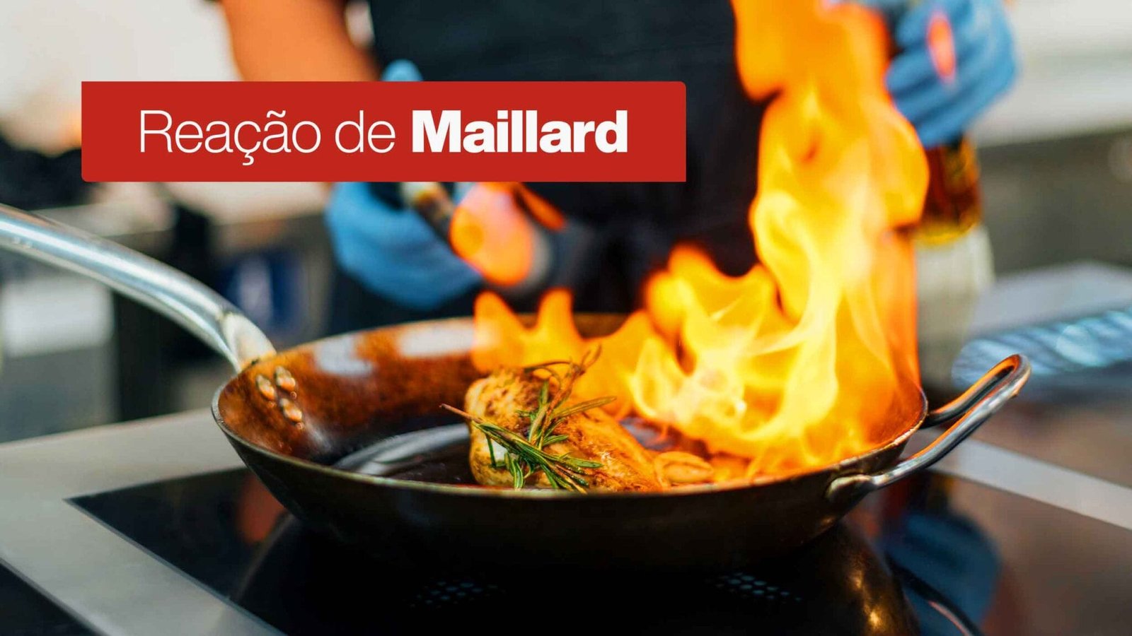 Entendendo a reação de Maillard e como o cozimento a vapor pode ajudar ...